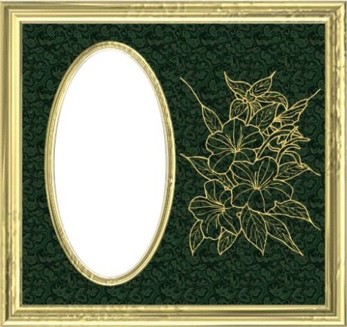 Cader Photo Frame Effect | Pixiz