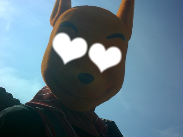 walibi Montage photo | Pixiz