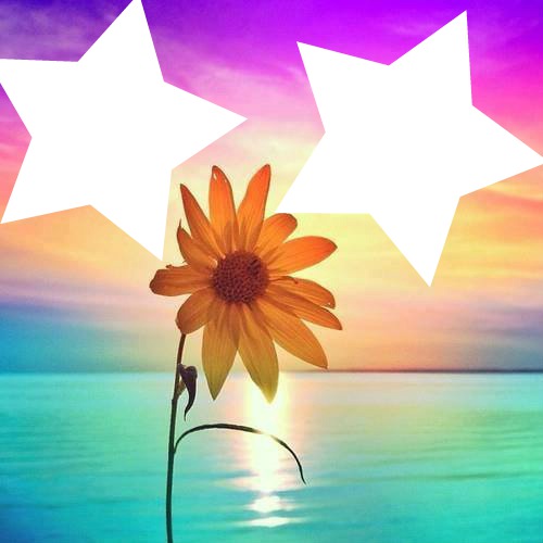 Cddddd Photo Frame Effect | Pixiz