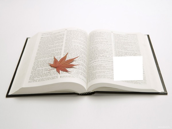 Diglo Montage photo | Pixiz