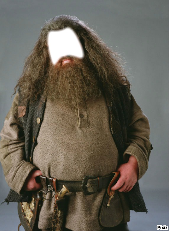 Hagrid Montage Photo | Pixiz