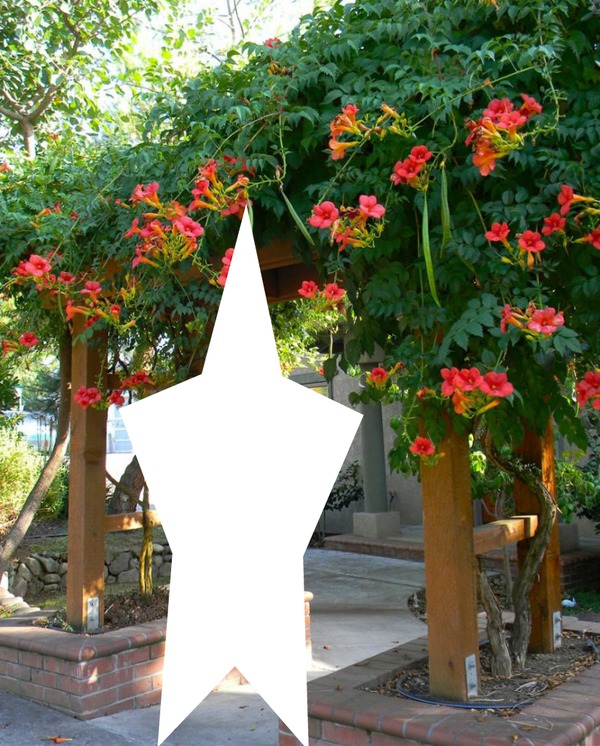 jhkl Montaje fotografico | Pixiz