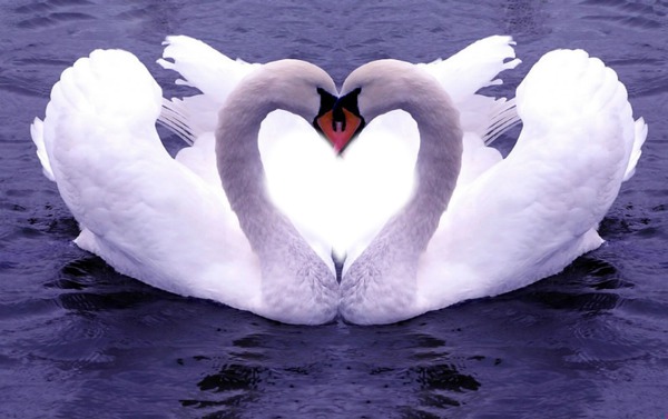 Nous Photo Frame Effect | Pixiz