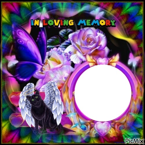 Memory Photo Frame Effect | Pixiz