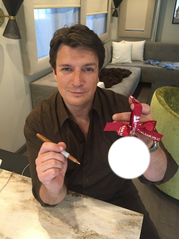 Nathan Christopher Fillion Montaje Fotografico | Pixiz