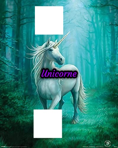 Unicorne Montage photo | Pixiz
