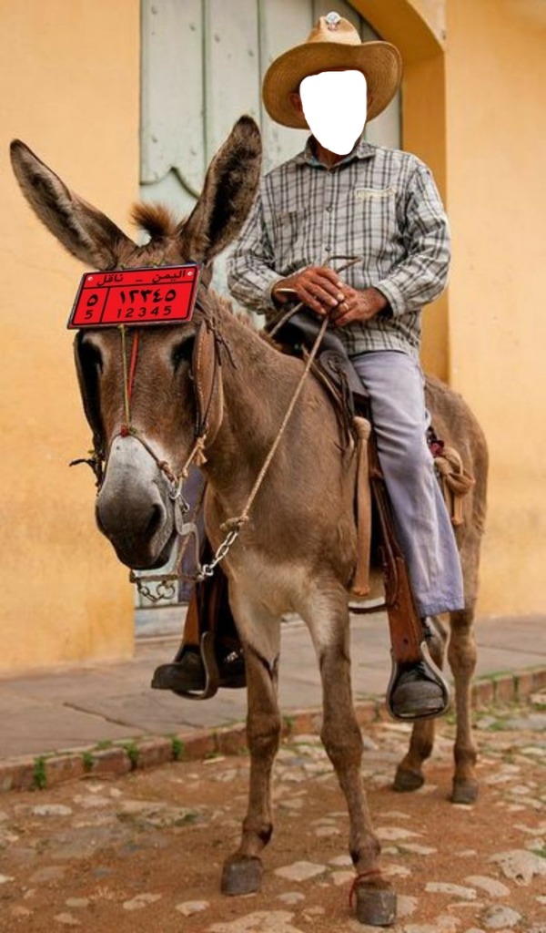 PEPE U LATINO Design Template | Pixiz