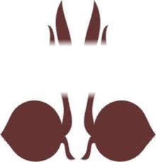 pramuka Design Template | Pixiz