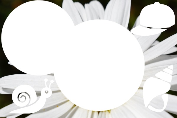 spring Montage photo | Pixiz