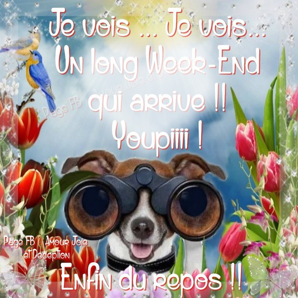 Week End Photo Frame Effect | Pixiz