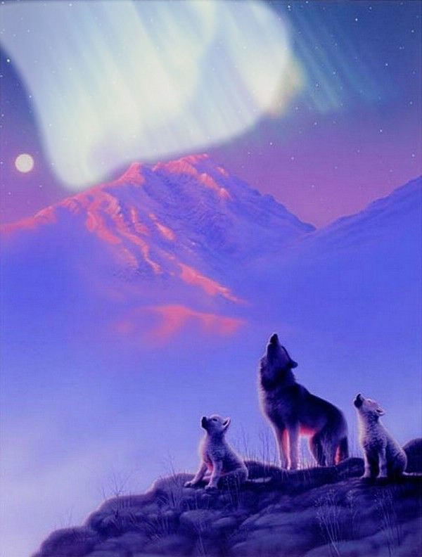 nightwolves Montaje fotografico | Pixiz