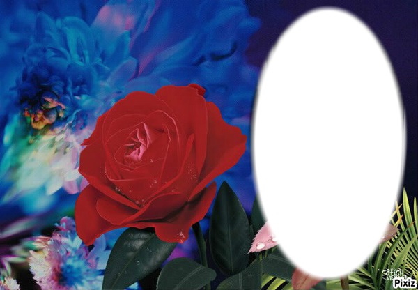 rouse Fotomontagem | Pixiz