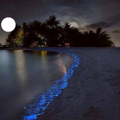 sabbar Montage photo | Pixiz