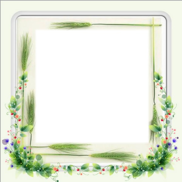 Trigo Photo Frame Effect | Pixiz