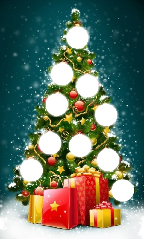 ARBOL Photo Frame Effect | Pixiz