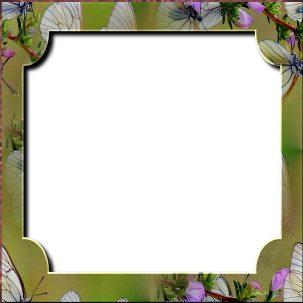 Rahmen Photo Frame Effect | Pixiz