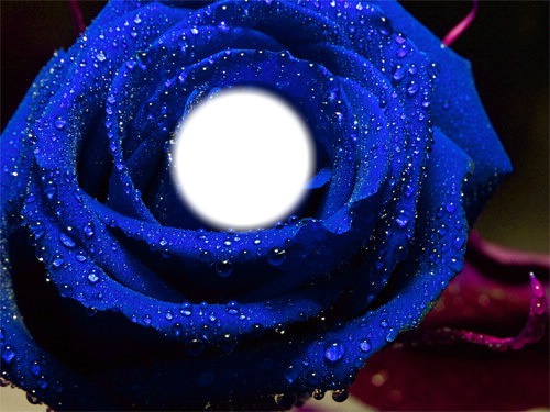 La Bleux Photo Frame Effect | Pixiz