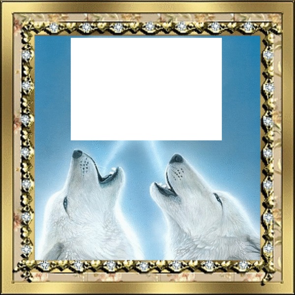 CADRE Photo Frame Effect | Pixiz