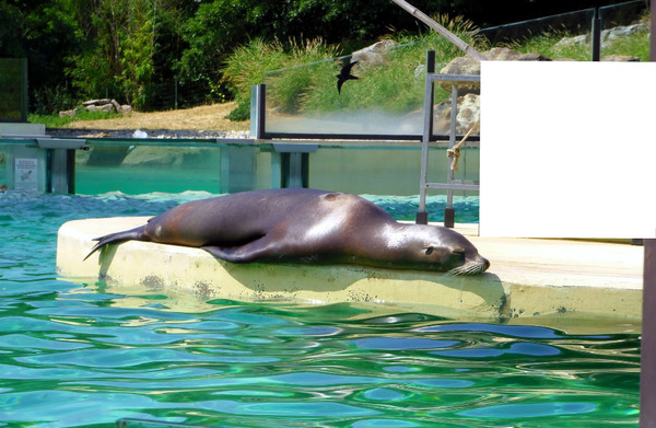 Repos Photo Frame Effect | Pixiz