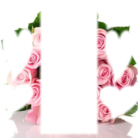 bbbbbbbbbbb Design Template | Pixiz