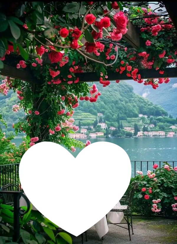 dobar dan Montage photo | Pixiz