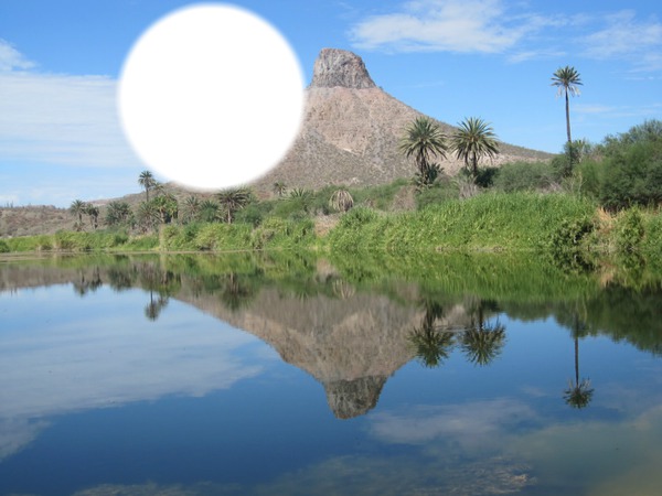 pilon Design Template | Pixiz