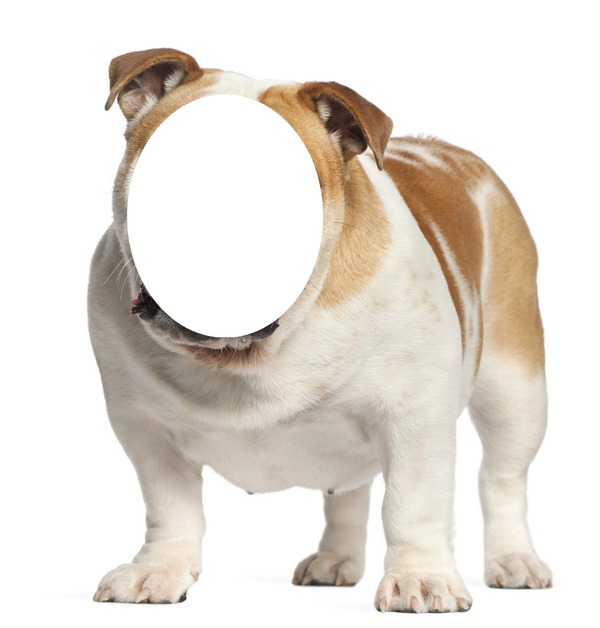 vgft Montaje fotografico | Pixiz