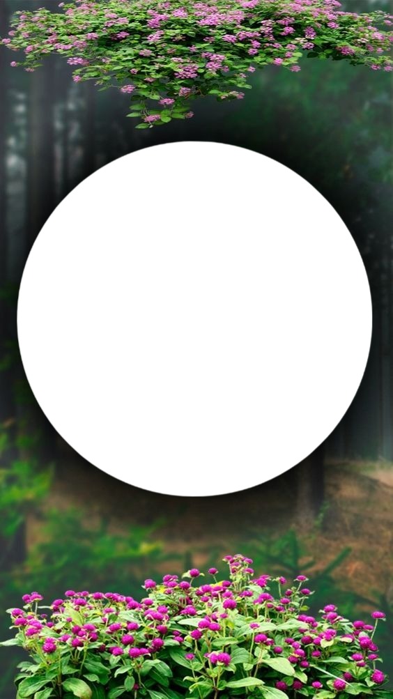 FOTO Fotomontagem | Pixiz