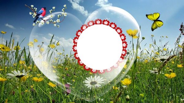 Opaline Photo Frame Effect | Pixiz