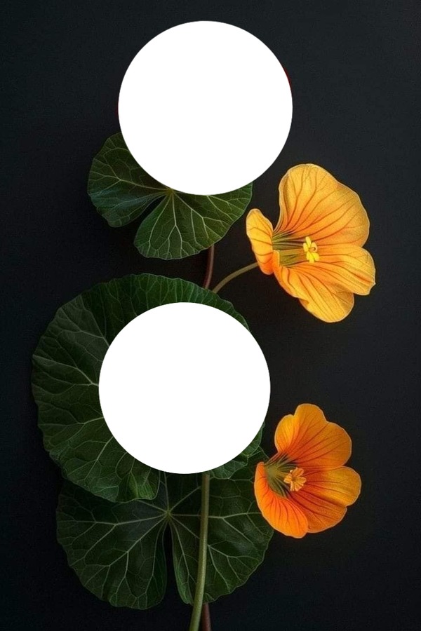 FOTO Montaje Fotografico | Pixiz