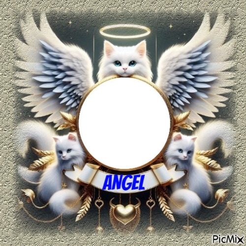 Memory Photo Frame Effect | Pixiz