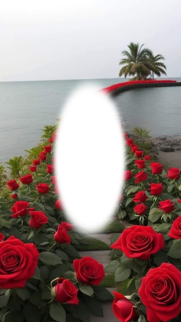 Roses Photo Frame Effect | Pixiz