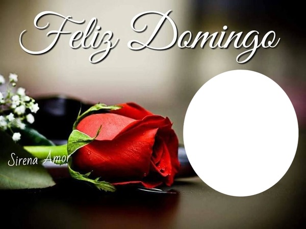 Hoy Photo Frame Effect | Pixiz