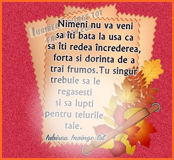 Felicitare Design Template | Pixiz