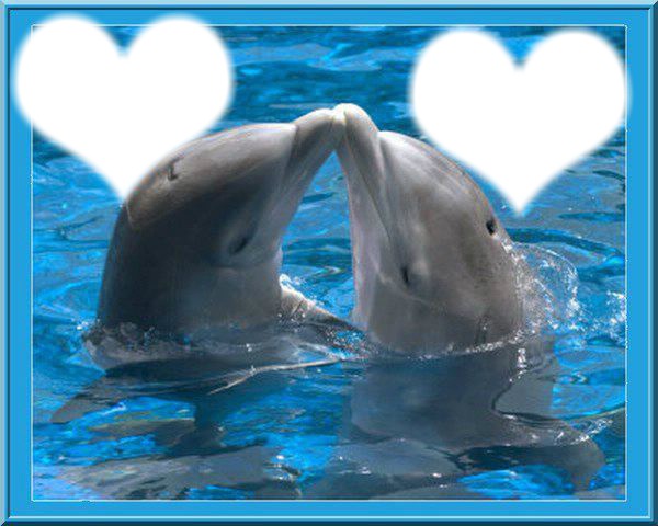 je t aime Montaje fotografico | Pixiz