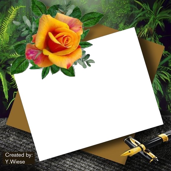 Card Photo Frame Effect | Pixiz