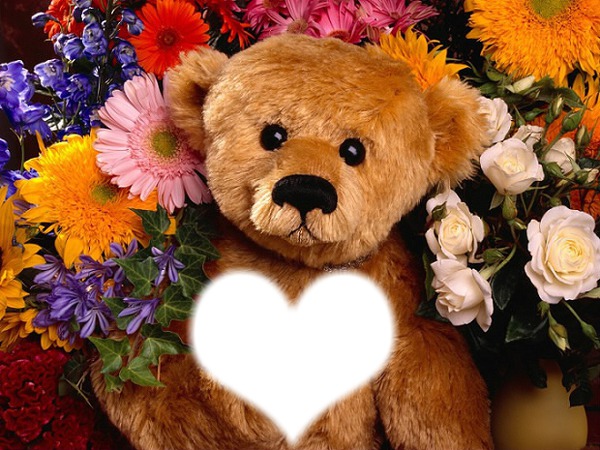 Montage photo Doudous - Pixiz