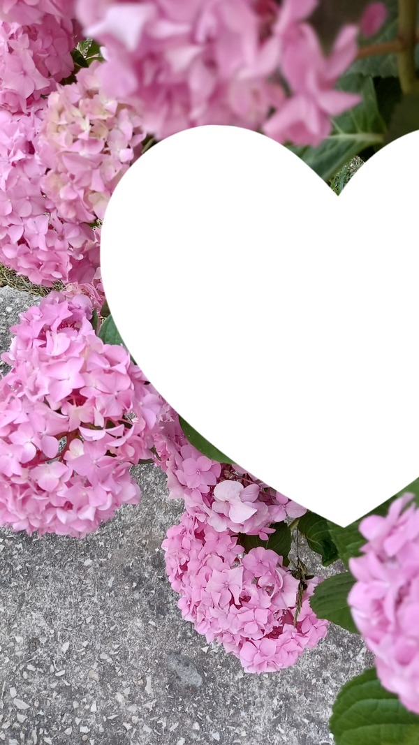 Sofia Photo Frame Effect | Pixiz