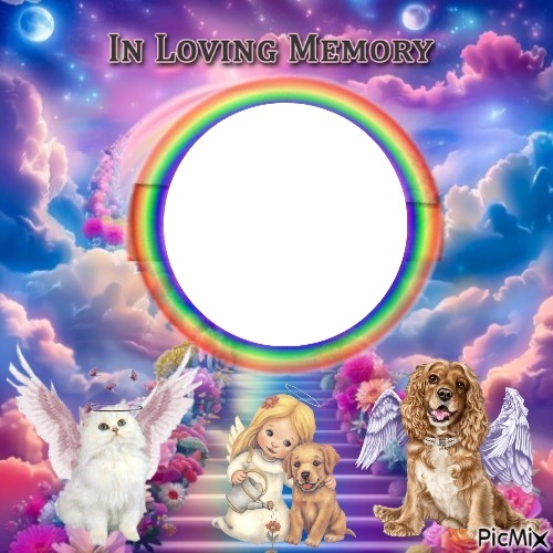 Memory Photo Frame Effect | Pixiz