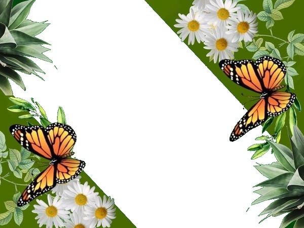 Frame Photo Frame Effect | Pixiz