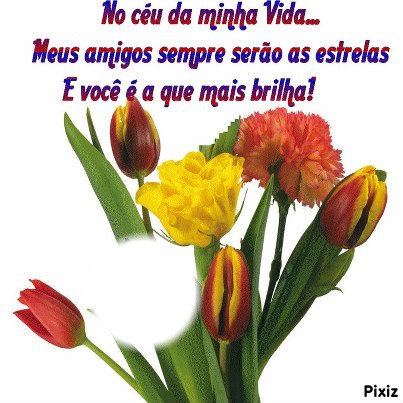 AMIGA Montage photo | Pixiz