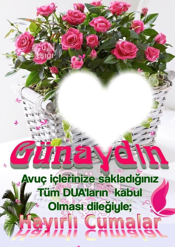 GÜNAYDIN Design Template | Pixiz