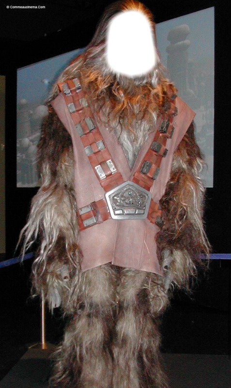 CHOUBAKA Photo Frame Effect | Pixiz