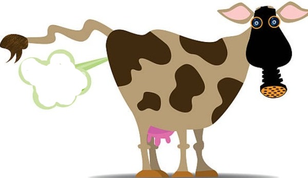 PROUT Photo Frame Effect | Pixiz