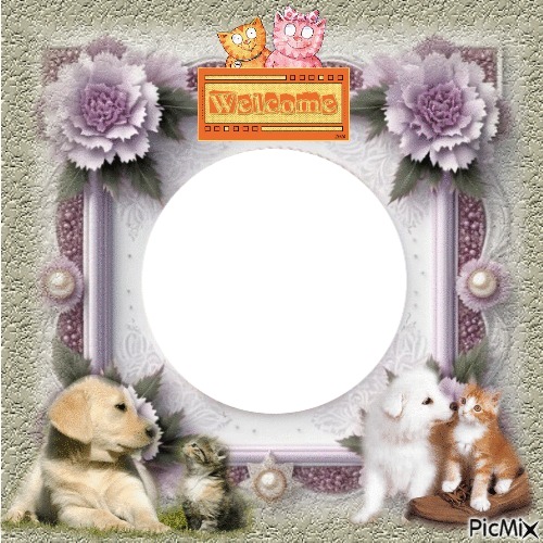 welcome Montage photo | Pixiz