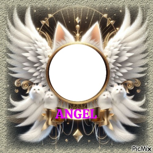 Memory Photo Frame Effect | Pixiz