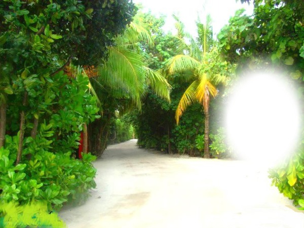 paront Montage photo | Pixiz