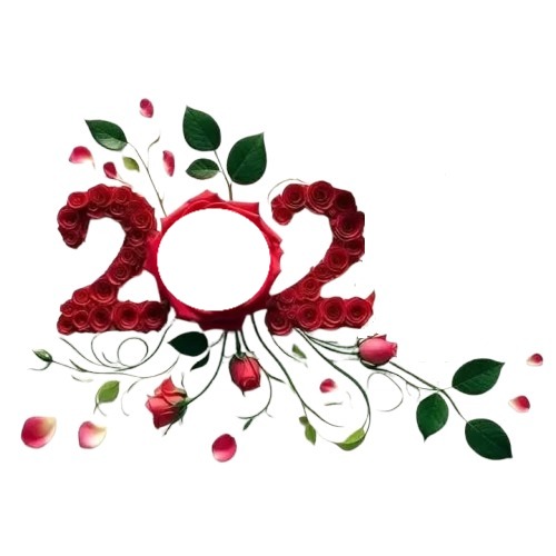 202 Design Template | Pixiz