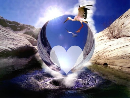 zumba Montaje fotografico | Pixiz