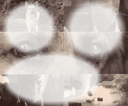 LORENZO Photo Frame Effect | Pixiz